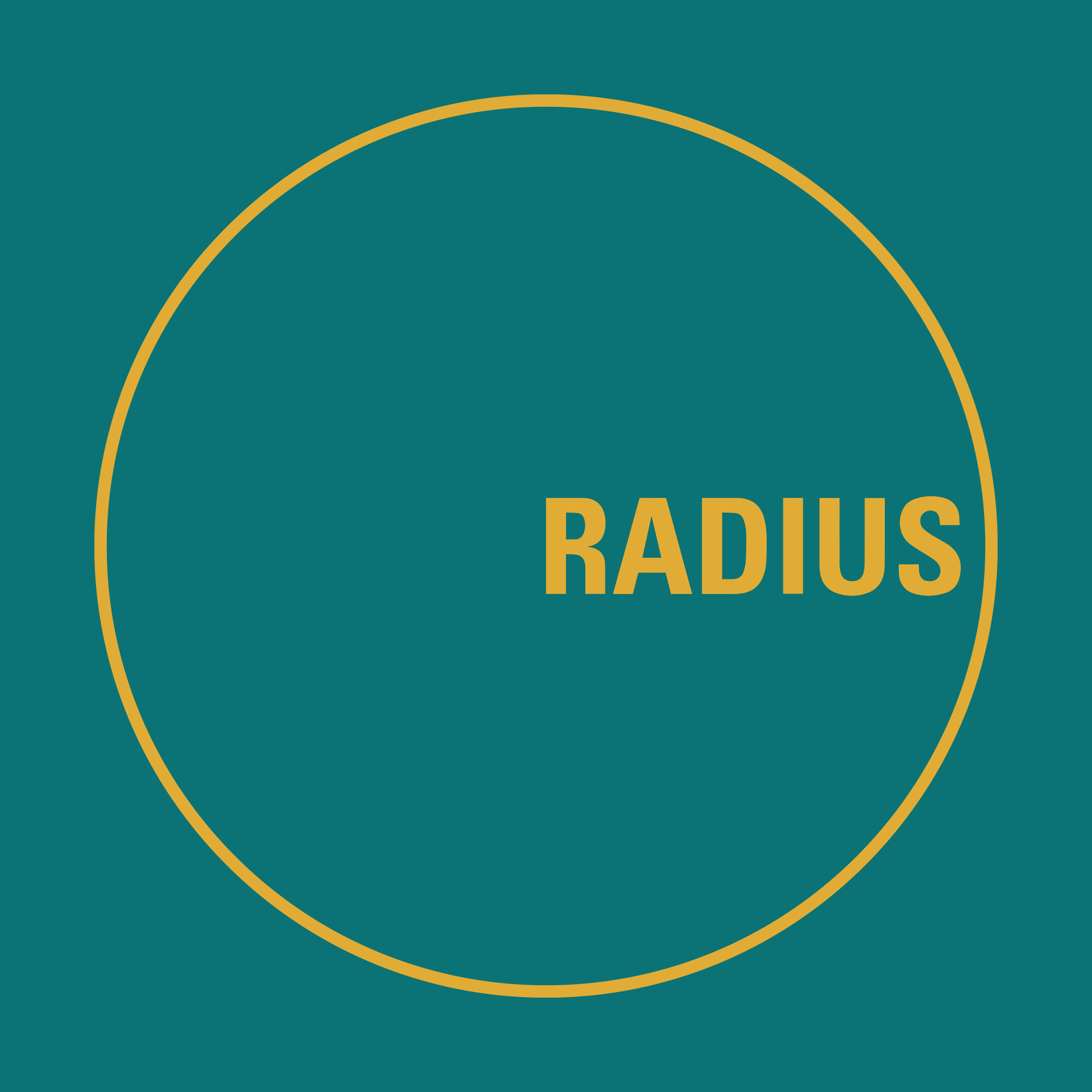Radius Intelligence Logo